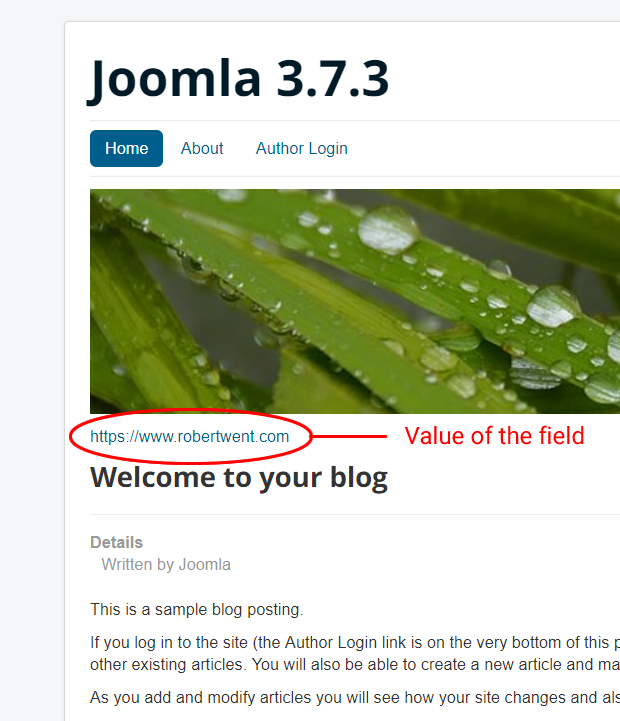 Using Joomla Custom Fields to Add Canonical URLs | Robert Went, PHP ... Using Joomla Custom Fields to Add Canonical URLs | Robert Went, PHP ...